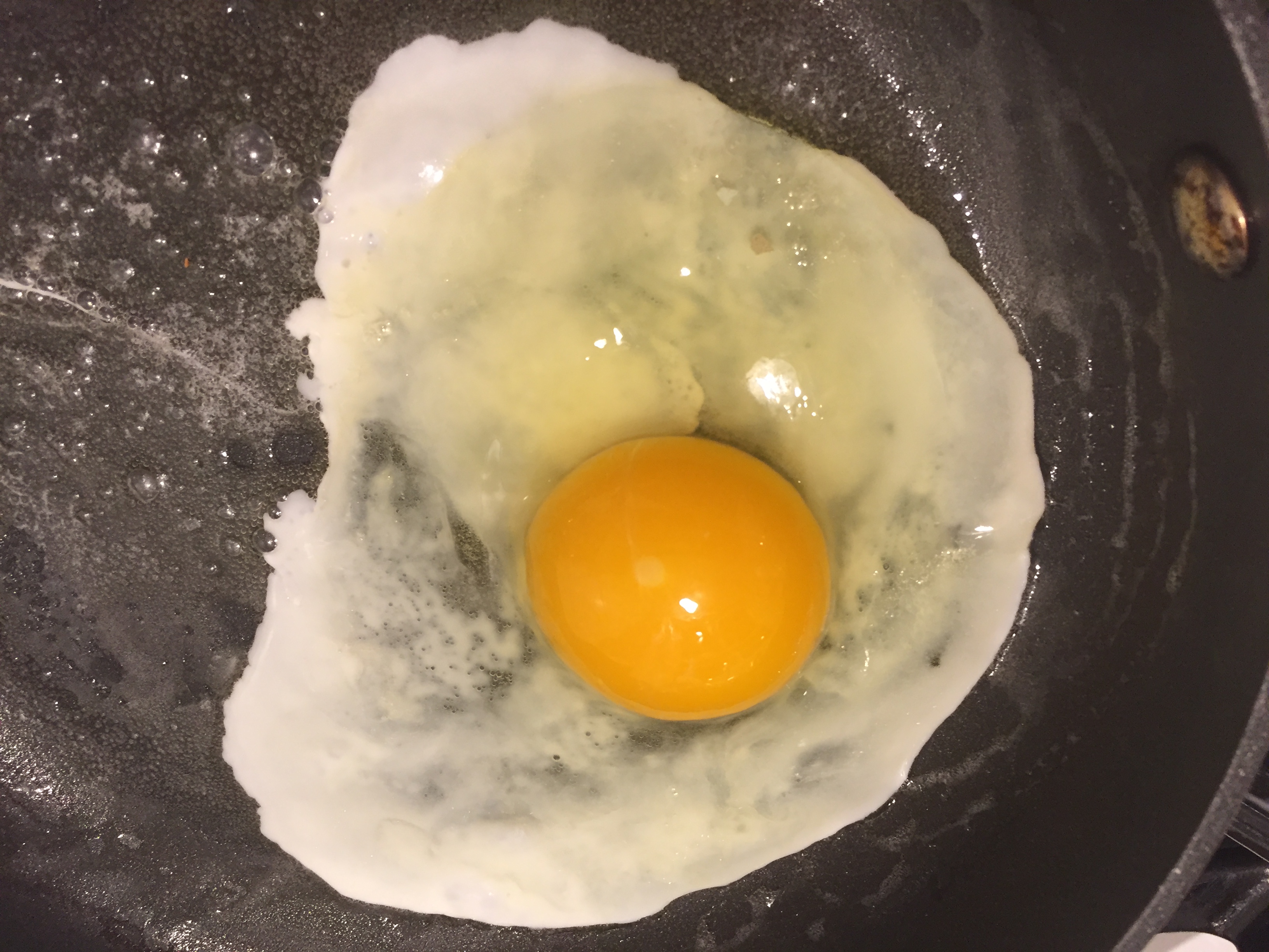 The Most Beautiful Egg Ever Laid – Dyberry Creek Farm LLC